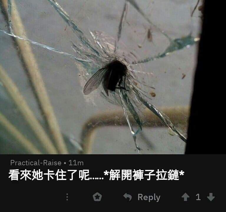 hey hey boi - 梗圖板 | Dcard