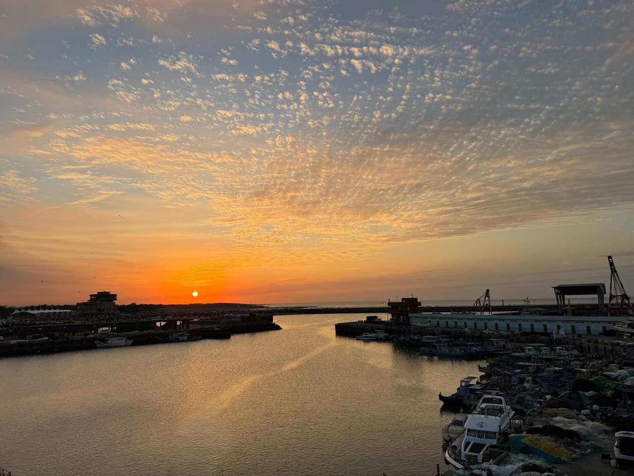 妳給我的專屬特約-是放風還是放生 - 運氣特約商店🏦 (@hey_bro) | Dcard