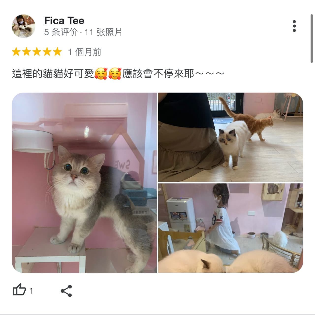 🐱🐶特寵業者爭議名單彙整 - B261 留言 | Dcard