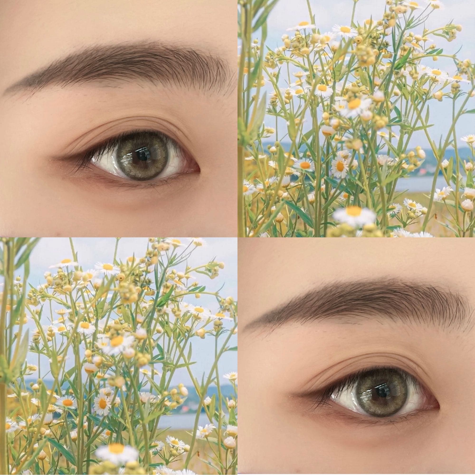 #Lens town #浪漫東京卡其#實戴分享 - 隱形眼鏡板 | Dcard