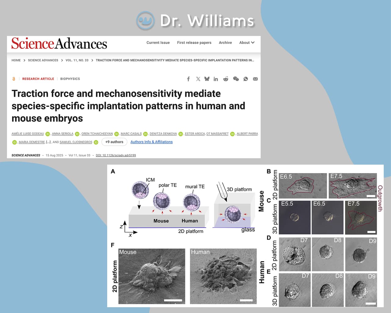 #新知｜原來著床靠的不只是化學信號：人類胚胎會『主動出力』鑽進子宮！ - 李毅評醫師｜新光生殖中心 (@dr_williams) | Dcard