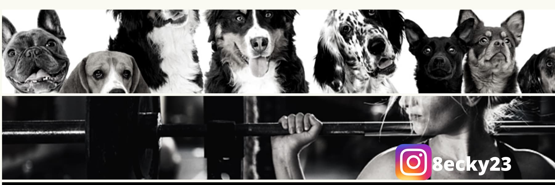 8ecky23 (@becky_koala) | Dcard