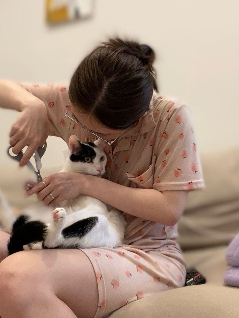 最近的日常 - rou_oble (@baeco) | Dcard