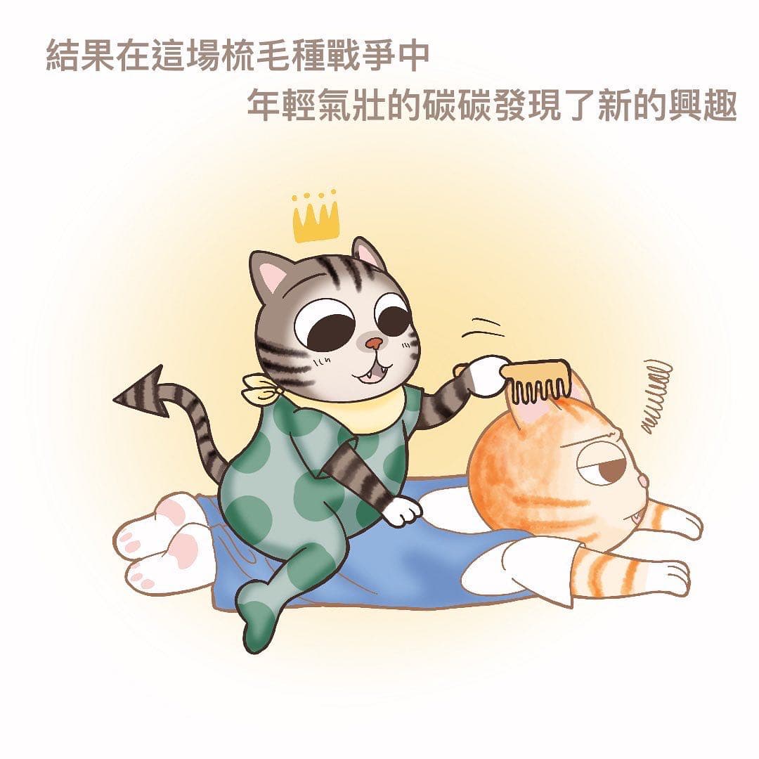 貓日記part 6，愛的轉變 - 龍豬毛毛🤍 (@dpccsh) | Dcard