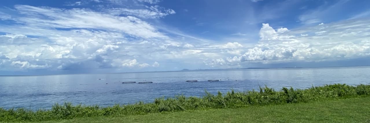 地獄倒楣鬼 (@back.from.hell) | Dcard