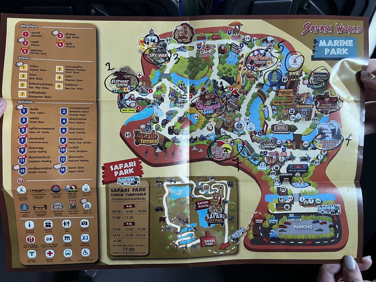 #遊記 🇹🇭 泰國曼谷8天7夜孝親之旅 Day5 - Safari world 動物園 - 泰國旅遊板 | Dcard