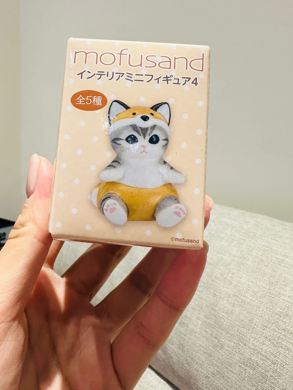 貓福珊迪 | Dcard