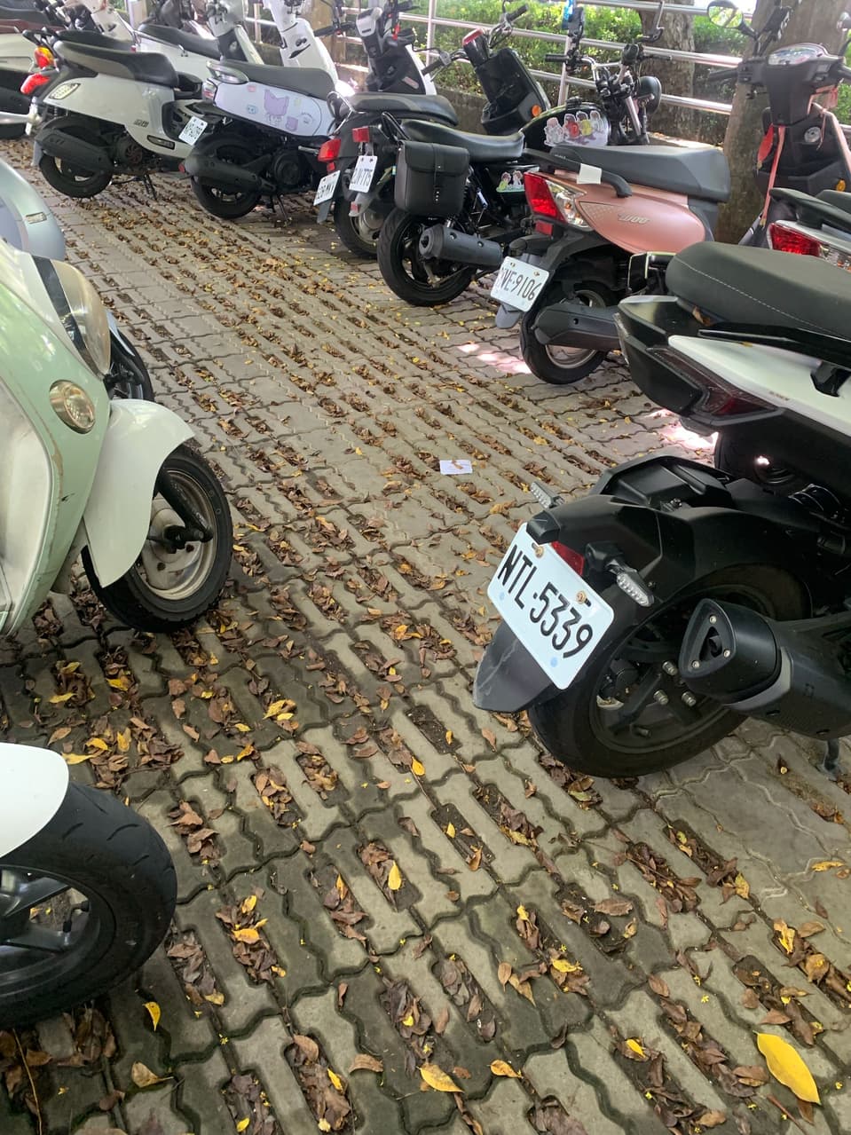 NTL-5339 - 亞洲大學板 | Dcard