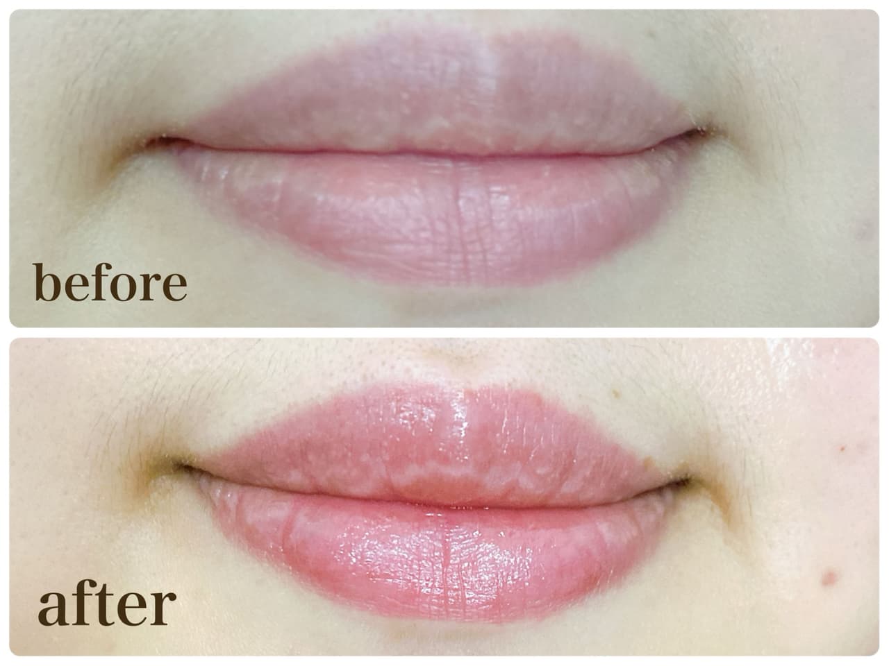 COCOLO X KINGJUN 限量禮盒 官網首發 搶先賣！文末抽獎🎁 (已抽出）#電力滿格密技 - 伯爵奶茶🥤 (@cat888) | Dcard