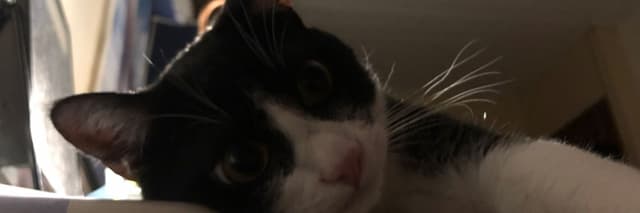 有點宅有點愛漂亮 (@kitten_squad_) | Dcard