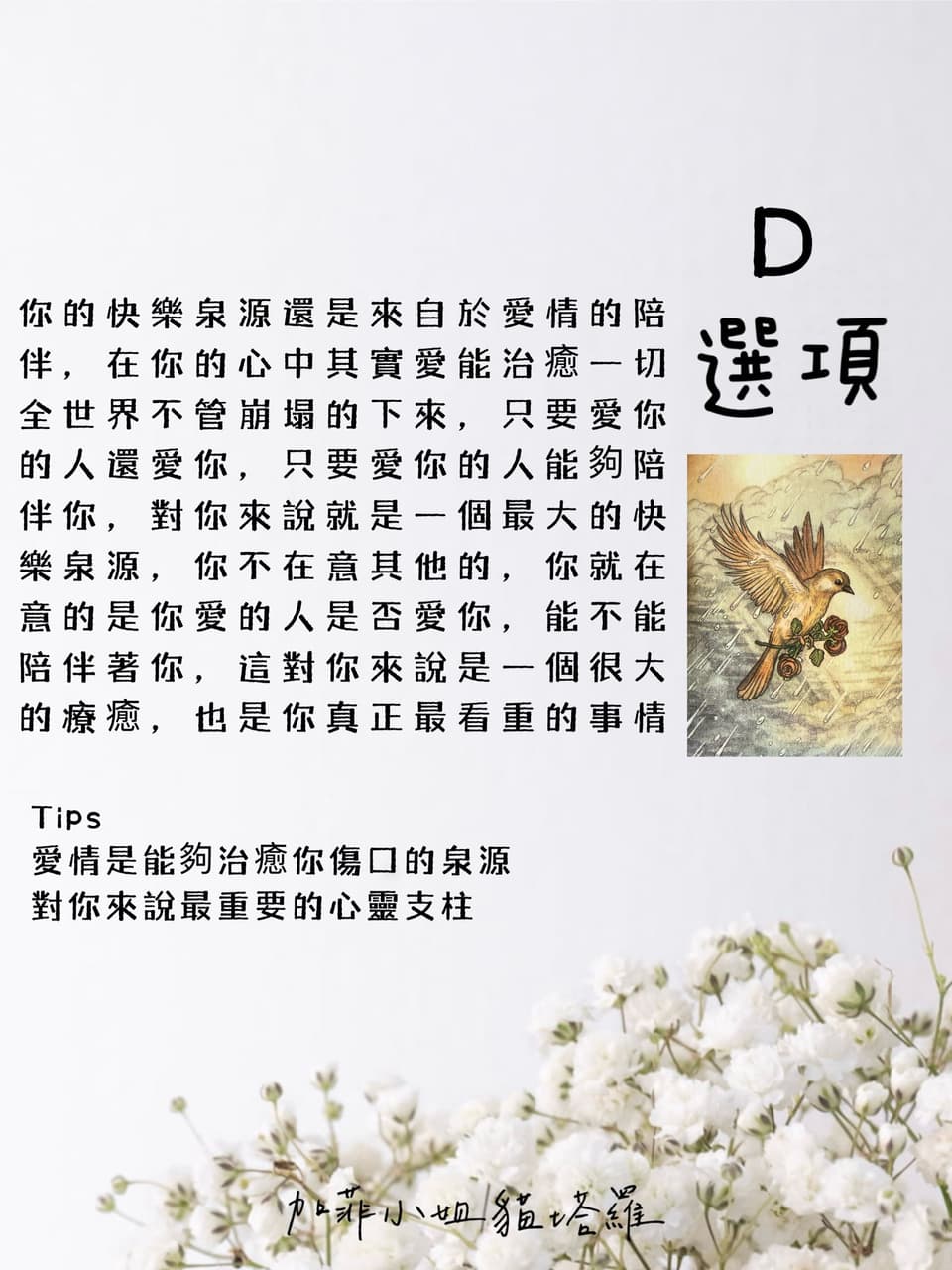 「塔羅」大眾占卜-能讓你心靈快樂的泉源是什麼🌸 - 加菲小姐貓塔羅 (@garfield_tarot) | Dcard