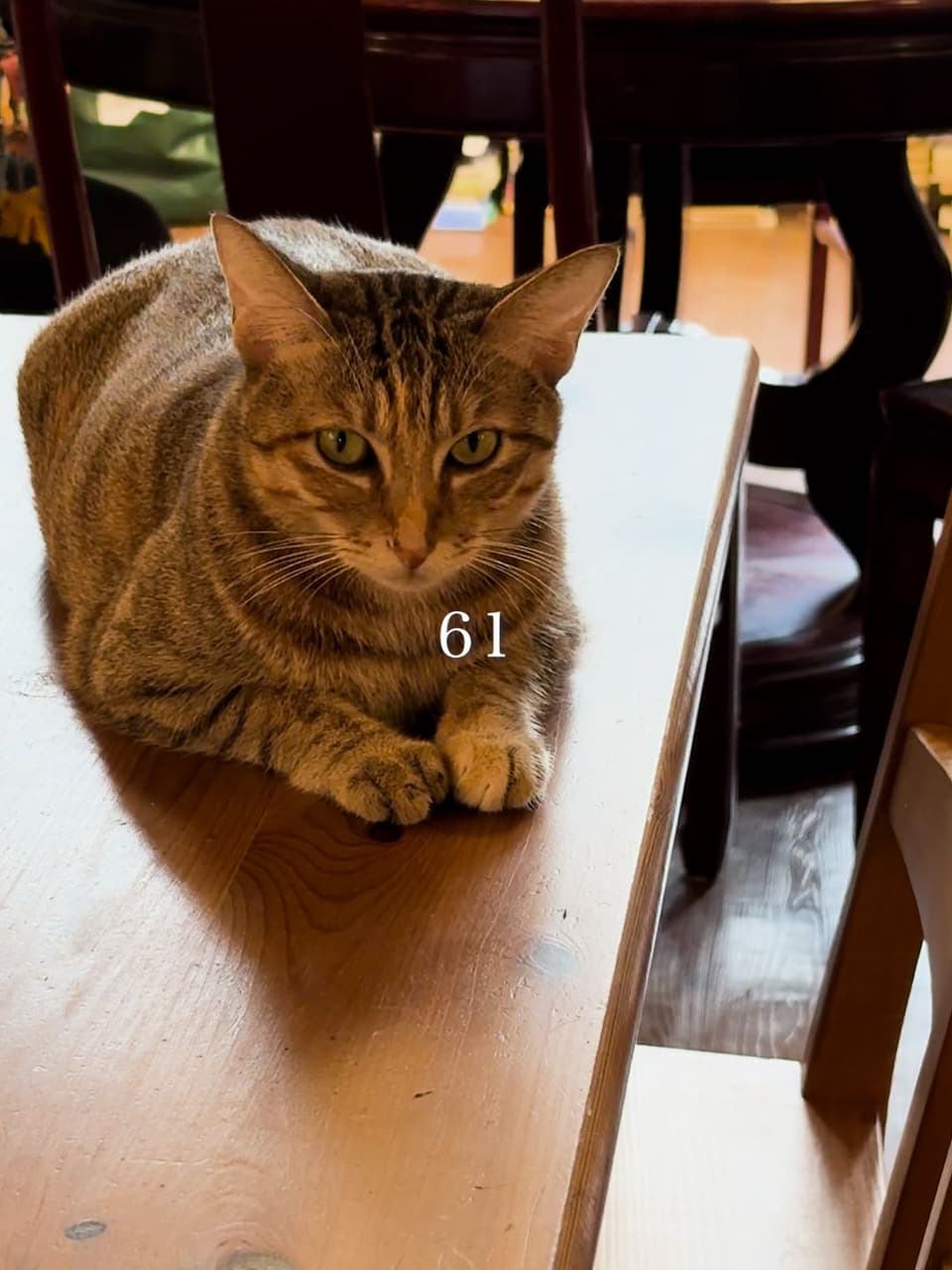 第61天影片日記 - 小行 (@asteroid_102) | Dcard