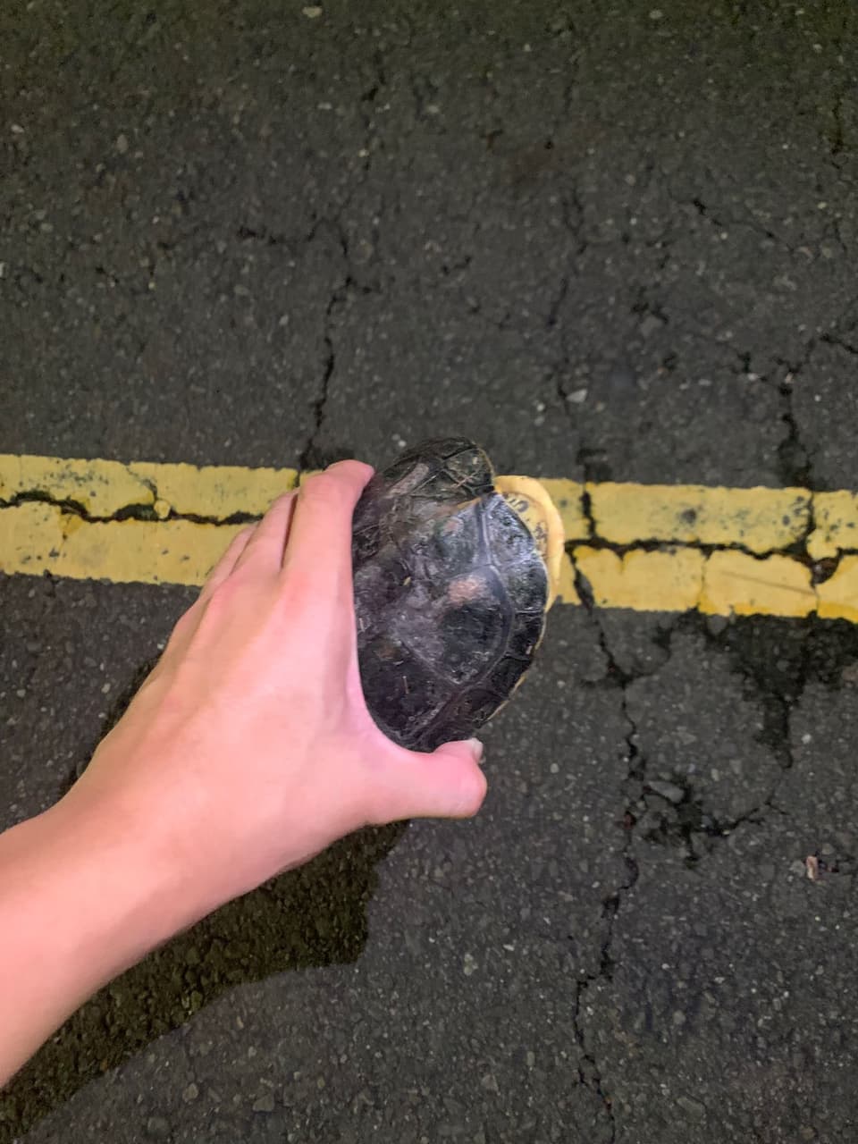 🐢 高雄大學板 Dcard