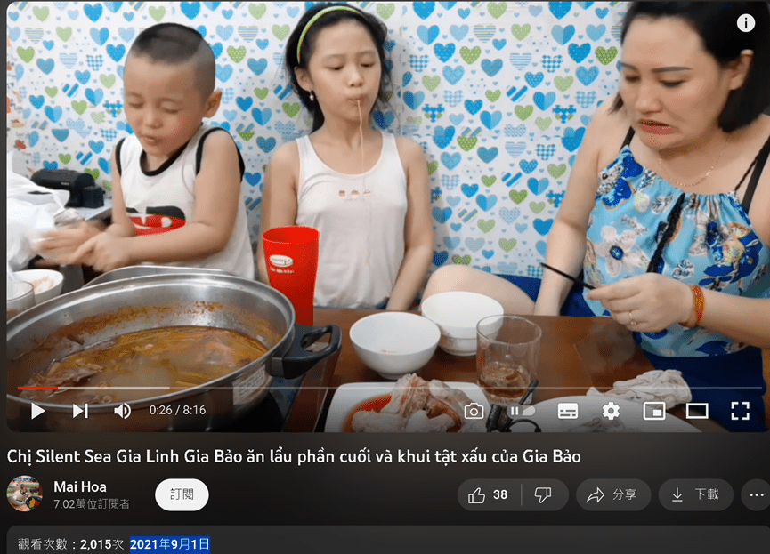 越南媽媽在YT創6個帳號紀錄小孩的日常生活 - YouTuber板 | Dcard