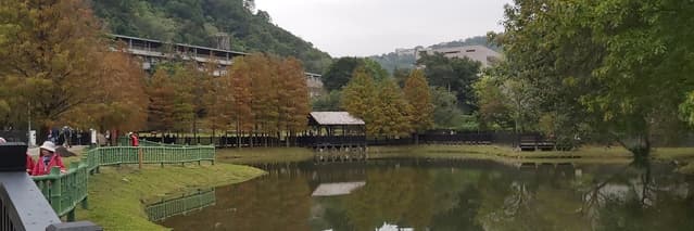 Tina采薇 (@tina1004zhang) | Dcard