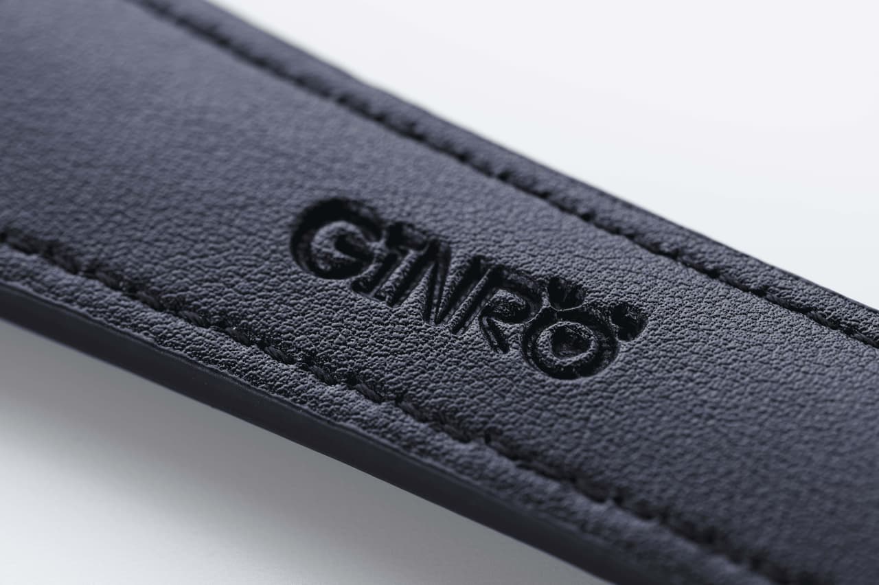 GINRO｜微床遊《SM》新手十件組 - 西斯板 | Dcard