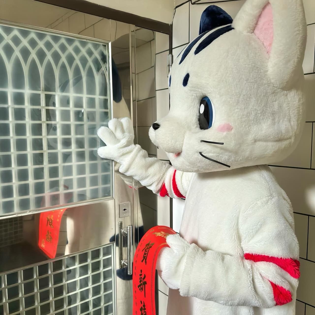 新年好！🧨 - 貓月 (@nyanrou_neko) | Dcard