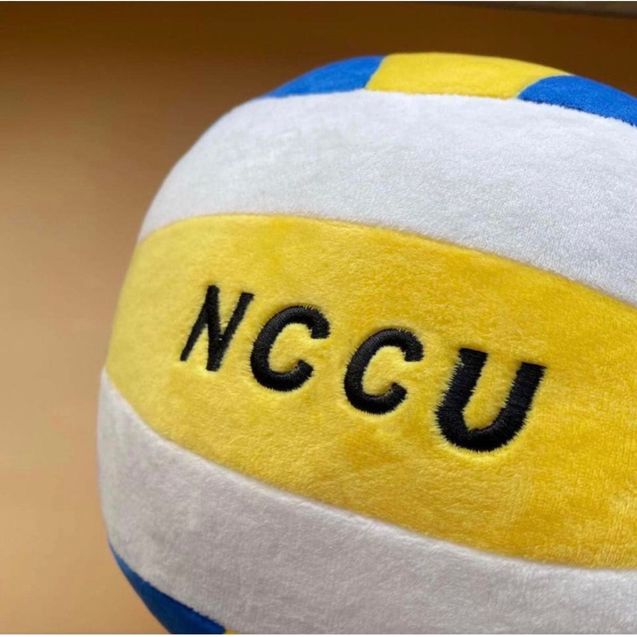 NCCU排球抱枕揪團 - 政治大學板 | Dcard