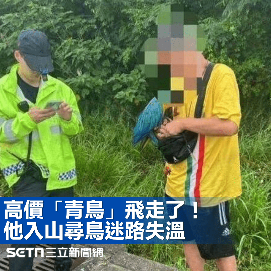 高價「青鳥」飛走了！男急衝山區尋愛鳥迷路失溫…差點人鳥兩失 - SETN三立新聞網 (@setn54) | Dcard