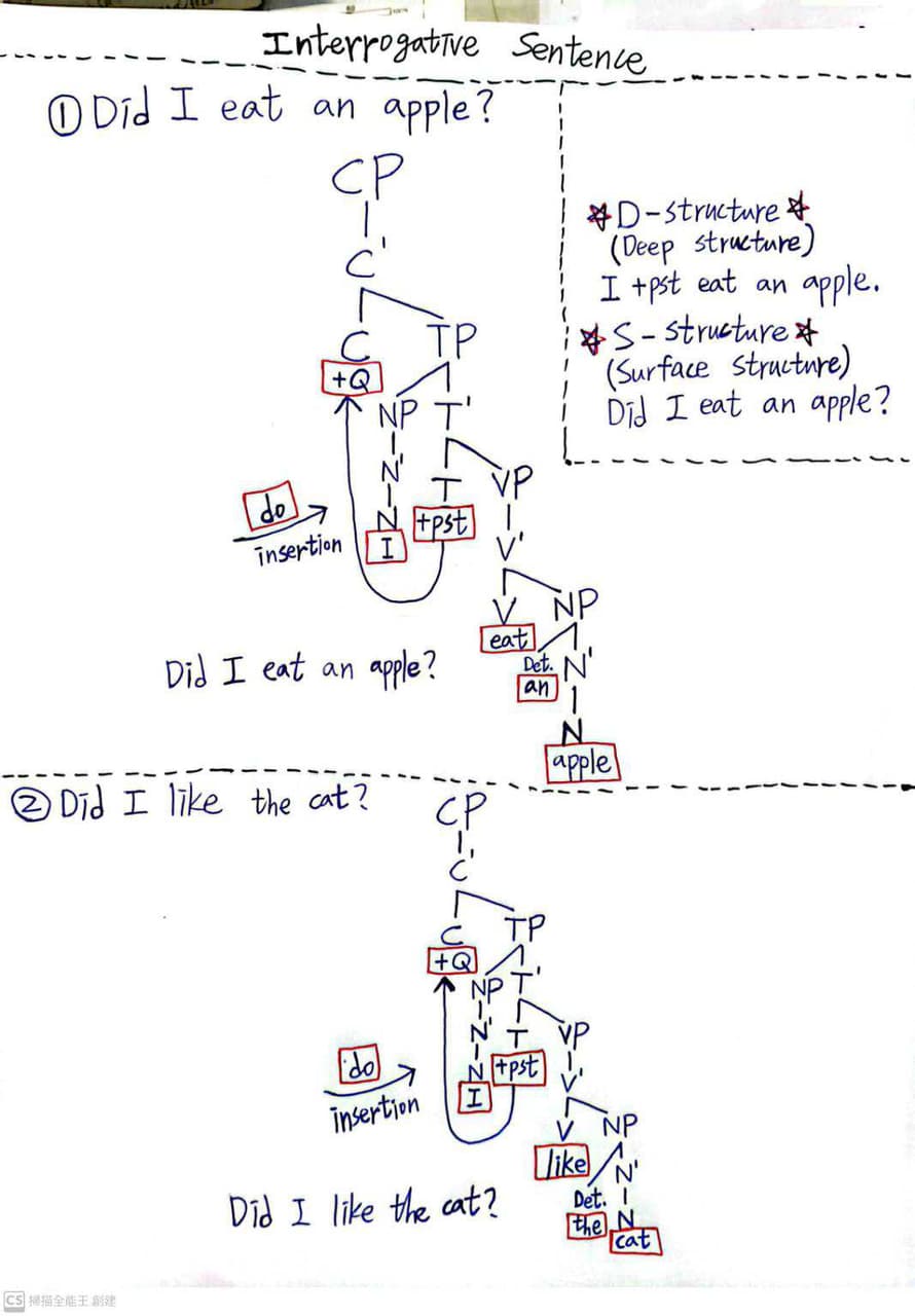 PS Tree from Syntax in Linguistics. (X Bar Theory) (Tree Diagram) - 明新 ...