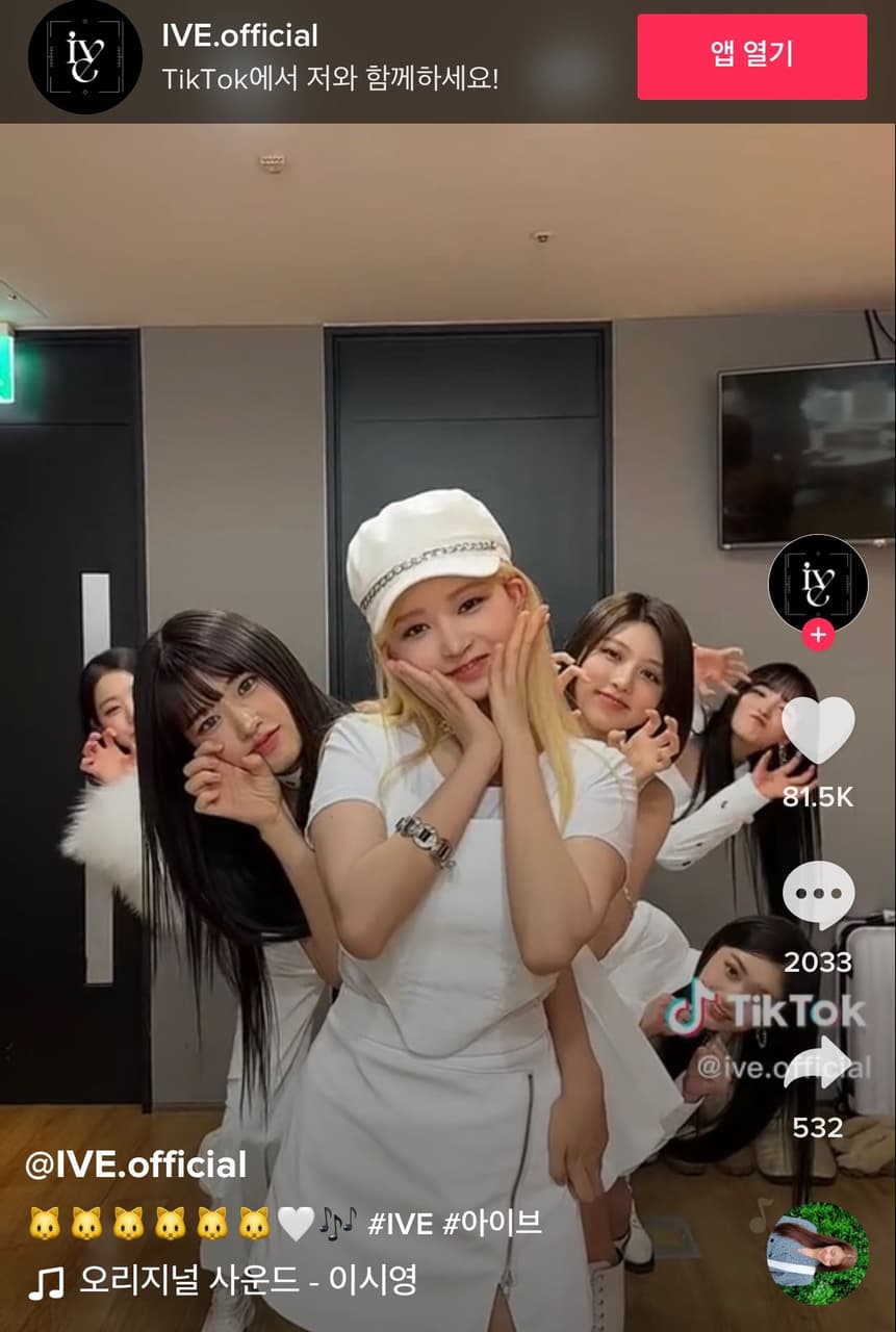 #分享 IVE TikTok有新影片啦！ - IVE板 | Dcard