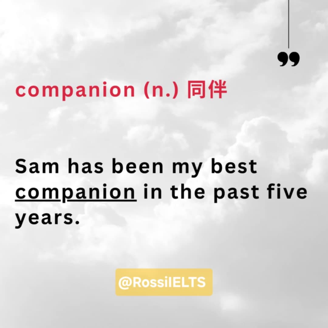 accompany/company/companion/companionship 的不同用法 - rossiielts (@rossilee ...