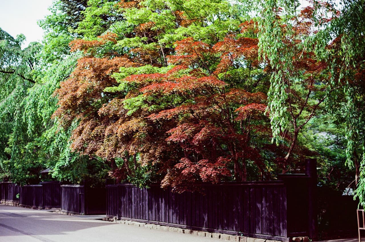 #作品 底片No.18 - 角館武家屋敷 （ft. Kodak Ektar 100) - 攝影板 | Dcard
