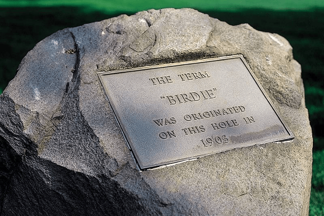 高爾夫球小知識：小鳥 🦜 - 高爾夫板 | Dcard