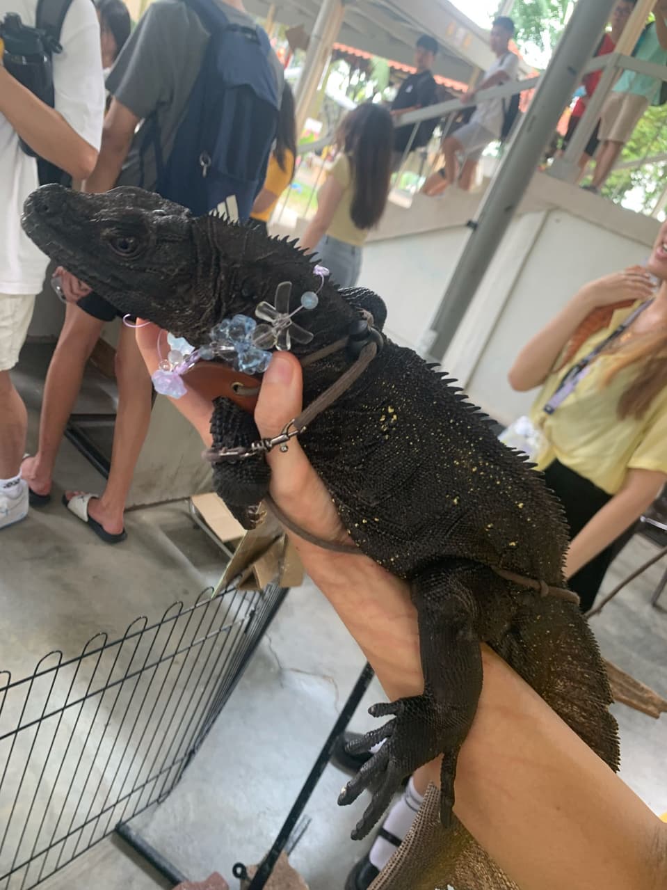 Godzilla - TAR UMT板 | Dcard