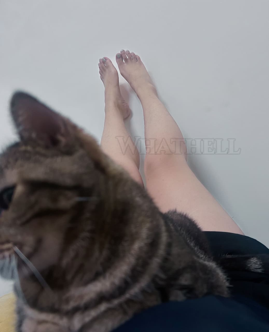 🐈🦵🏻🦶🏻 - 175 (@whathell__) | Dcard