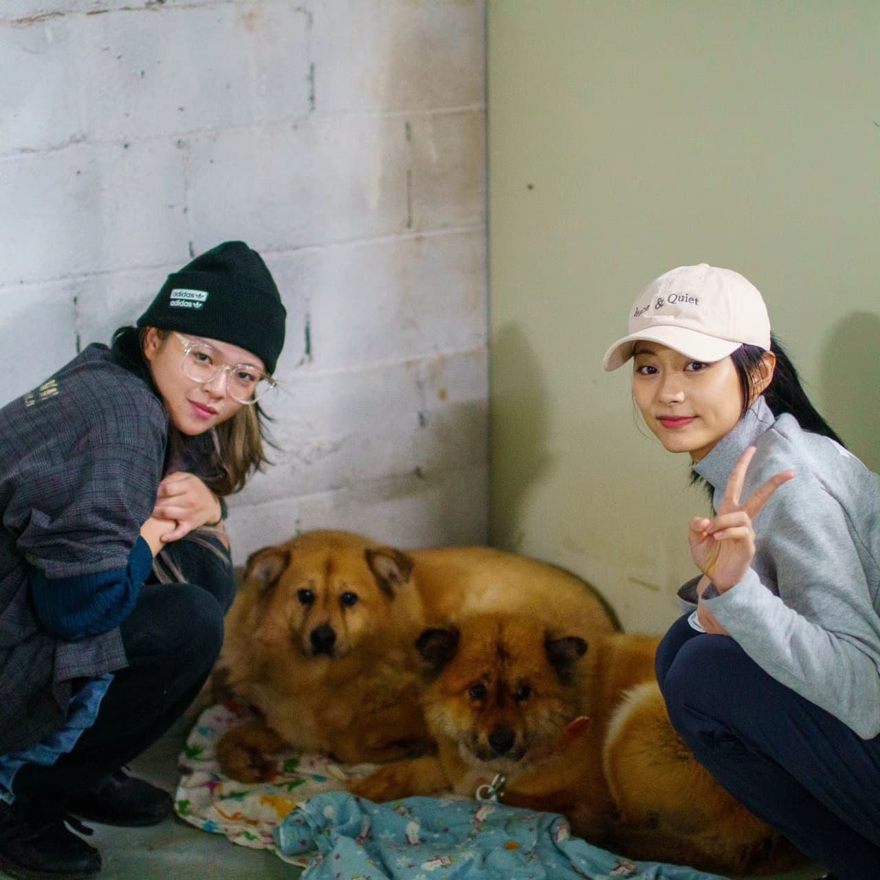 #分享 定延&子瑜 "Help Dog" 照片 - TWICE板 | Dcard