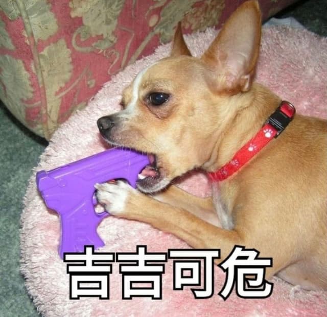 台北大學轉學考 考試板 Dcard