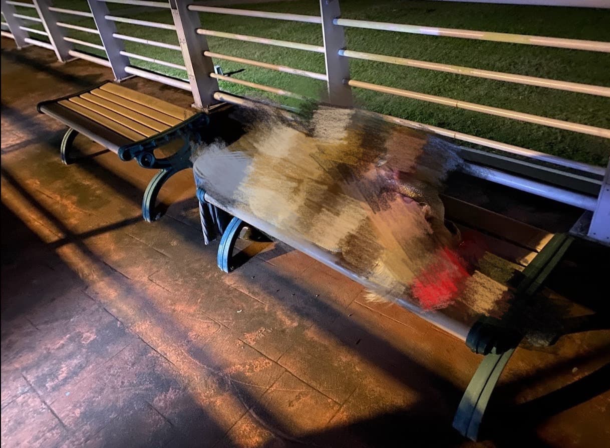 交友軟體見面故事 R5 文長 - 感情板 | Dcard