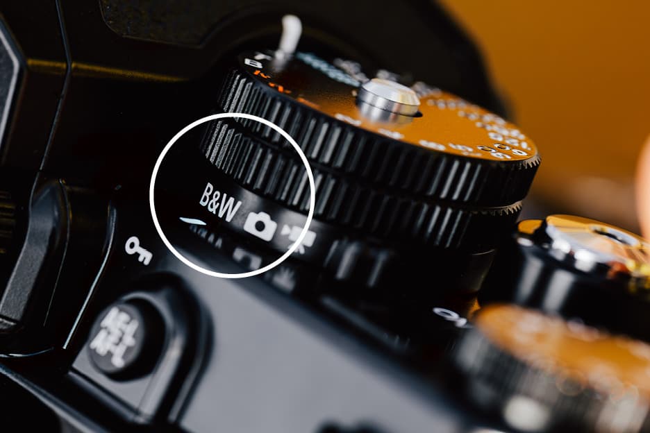 #閒聊 Nikon發表 Zf - 攝影板 | Dcard