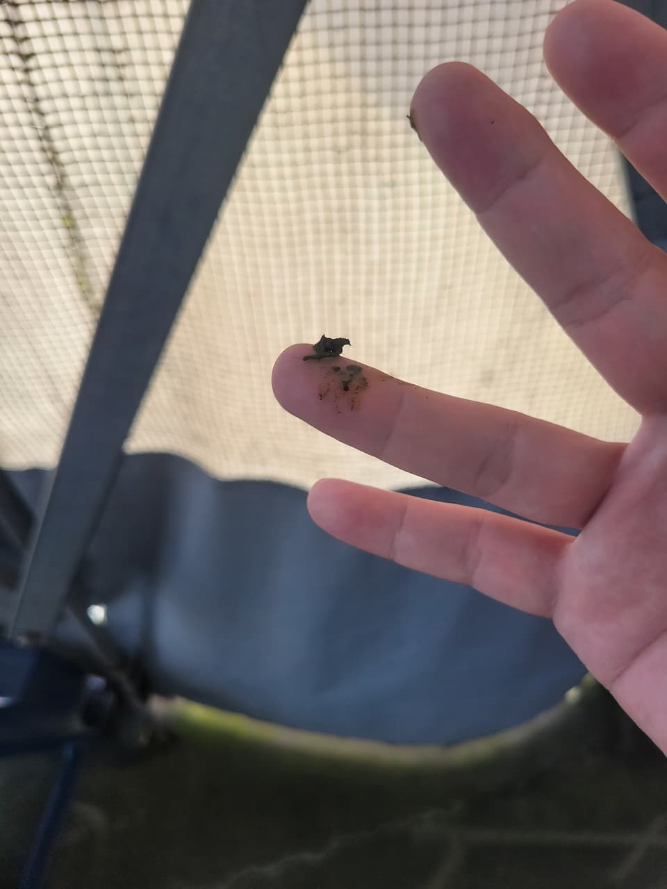 共享汽車 iRent vs GoSmart 租車心得 暴雷 - 汽車板 | Dcard