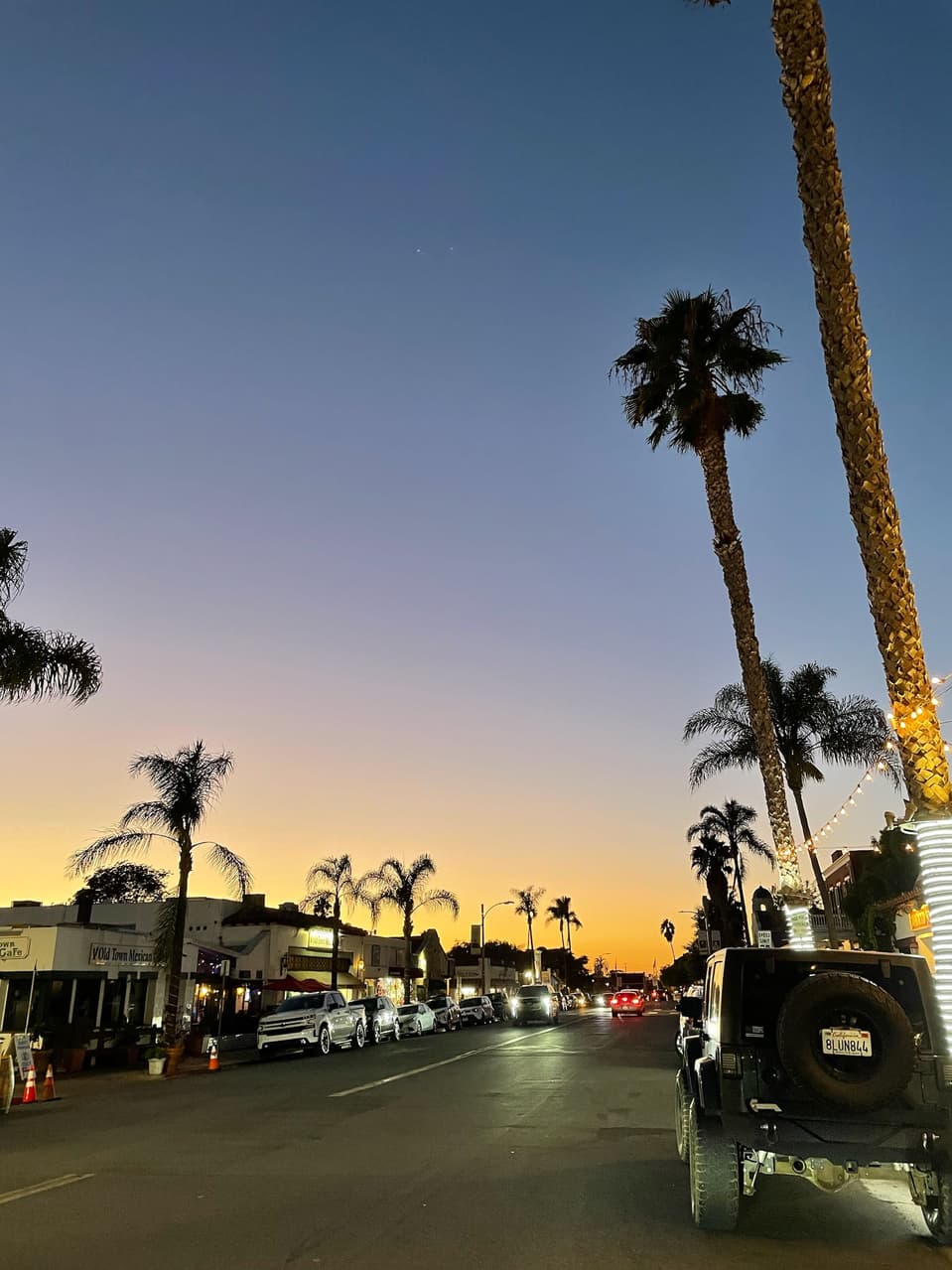 #國外 🇺🇸美國聖地牙哥/八天七夜自助旅遊(5)/💡煤氣燈街區/漢堡/🐳海洋世界/🦓動物園/🇲🇽墨西哥Old town - 旅遊板 | Dcard