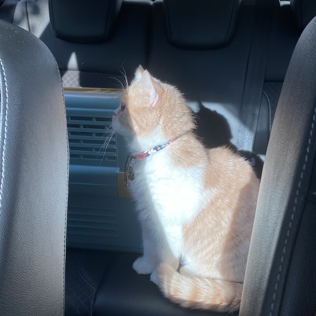 出去玩٩(•̤̀ᵕ•̤́๑)ᵒᵏᵎᵎᵎᵎ - YY_ (@xxxxxx.19) | Dcard