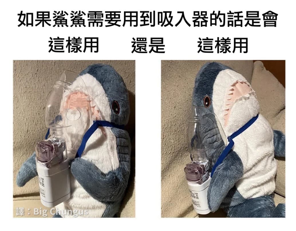 吸吸鯊鯊 梗圖板 Dcard