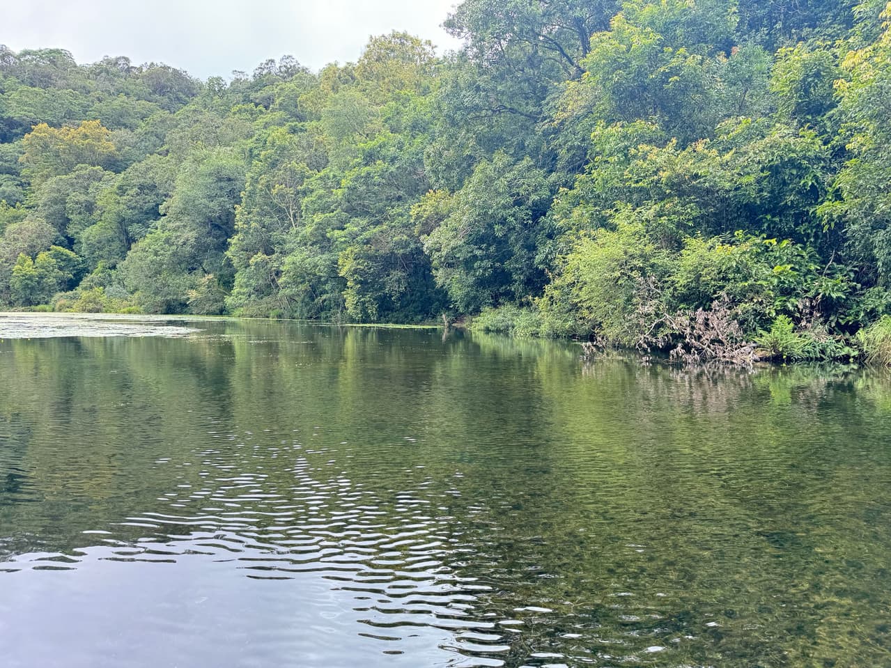 UU放風日 - 西斯板 | Dcard