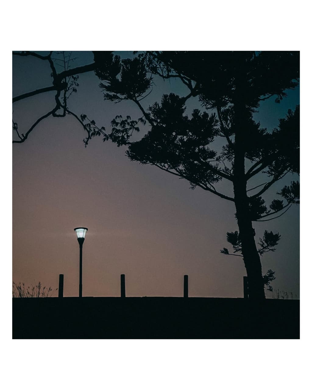 #教學 手機就能完成照片調色？Lightroom進階篇 - 攝影板 | Dcard