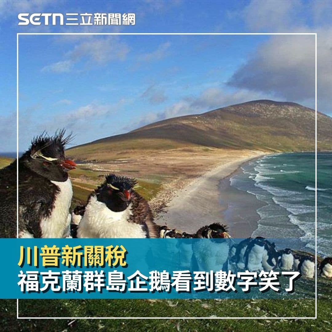 川普新關稅重挫全球市場 福克蘭群島「41%降到10%」企鵝意外受惠 - SETN三立新聞網 (@setn54) | Dcard