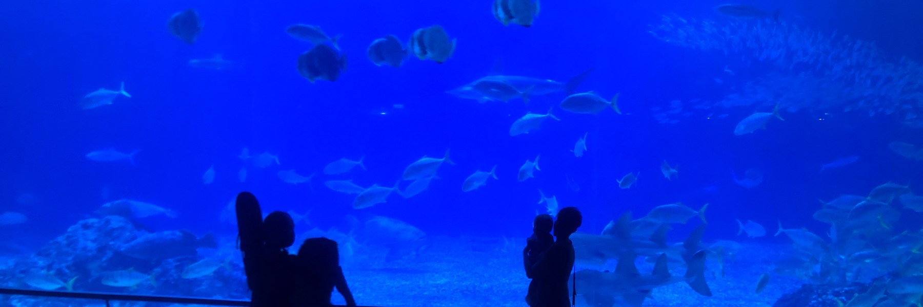 Q12 (@sleep_bgm) | Dcard