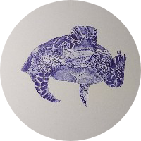 Mohoho (@mohoho) 的公開頁面 | Dcard