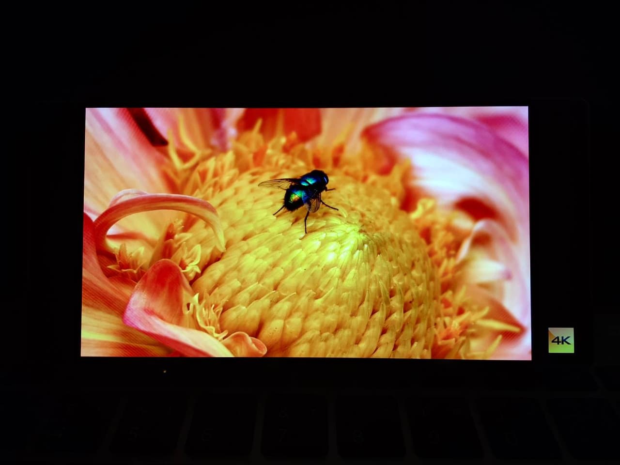 Sharp Aquos R10 分享 - 3C板 | Dcard