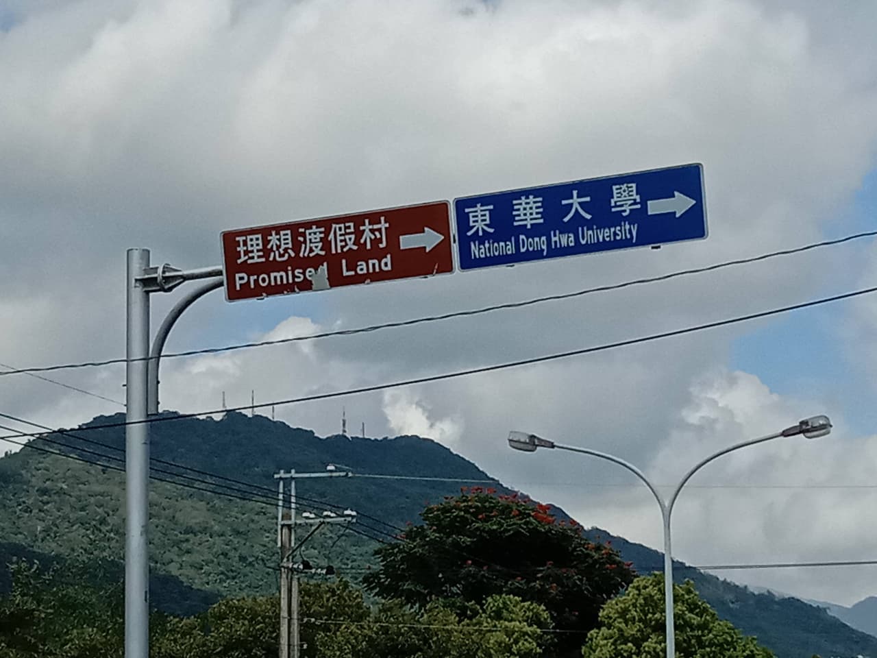 113東華暑轉簡章 考試板 Dcard