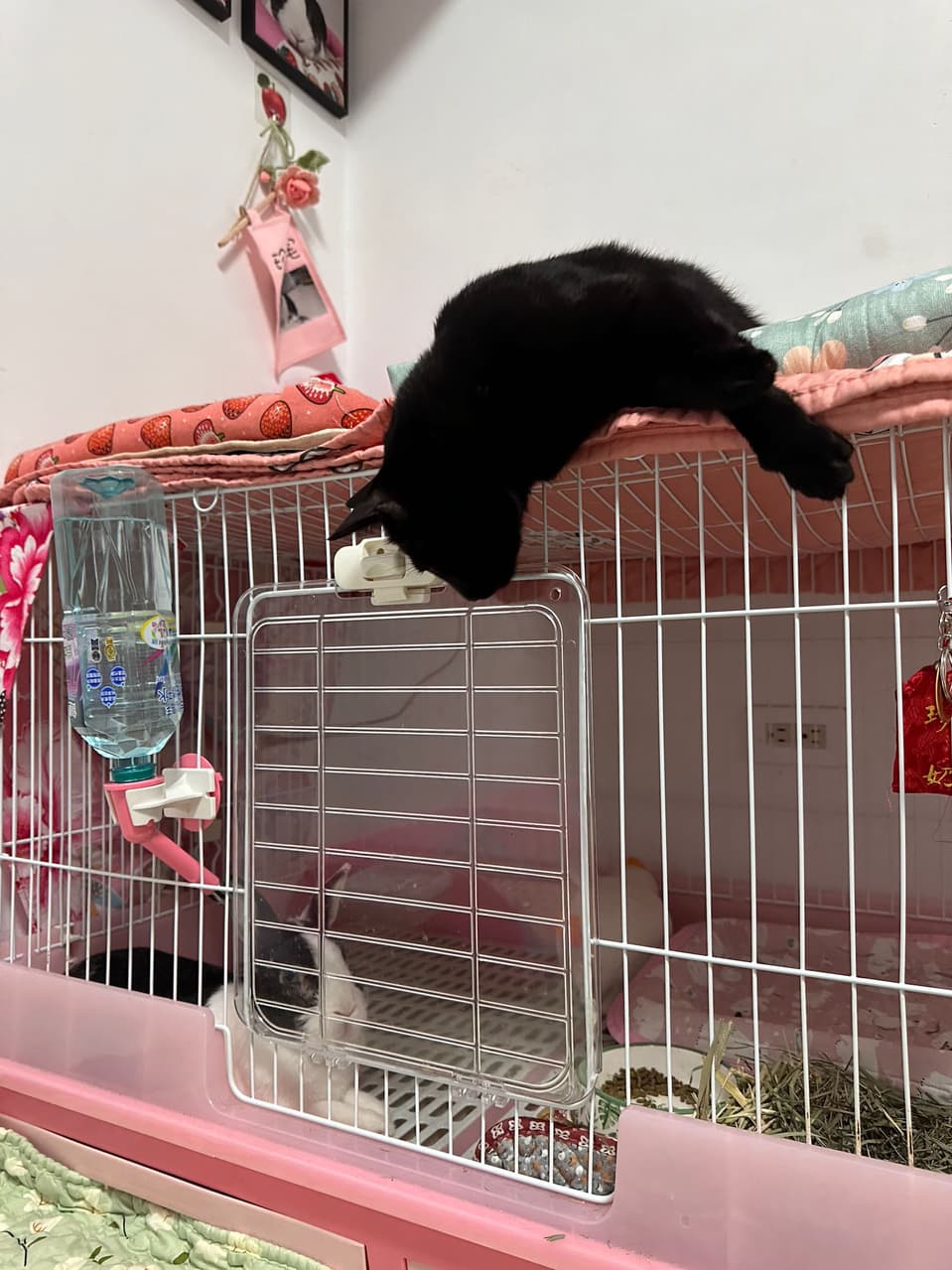 #懷孕 18週+6引產（內🈶照片慎入 - B8 留言 | Dcard