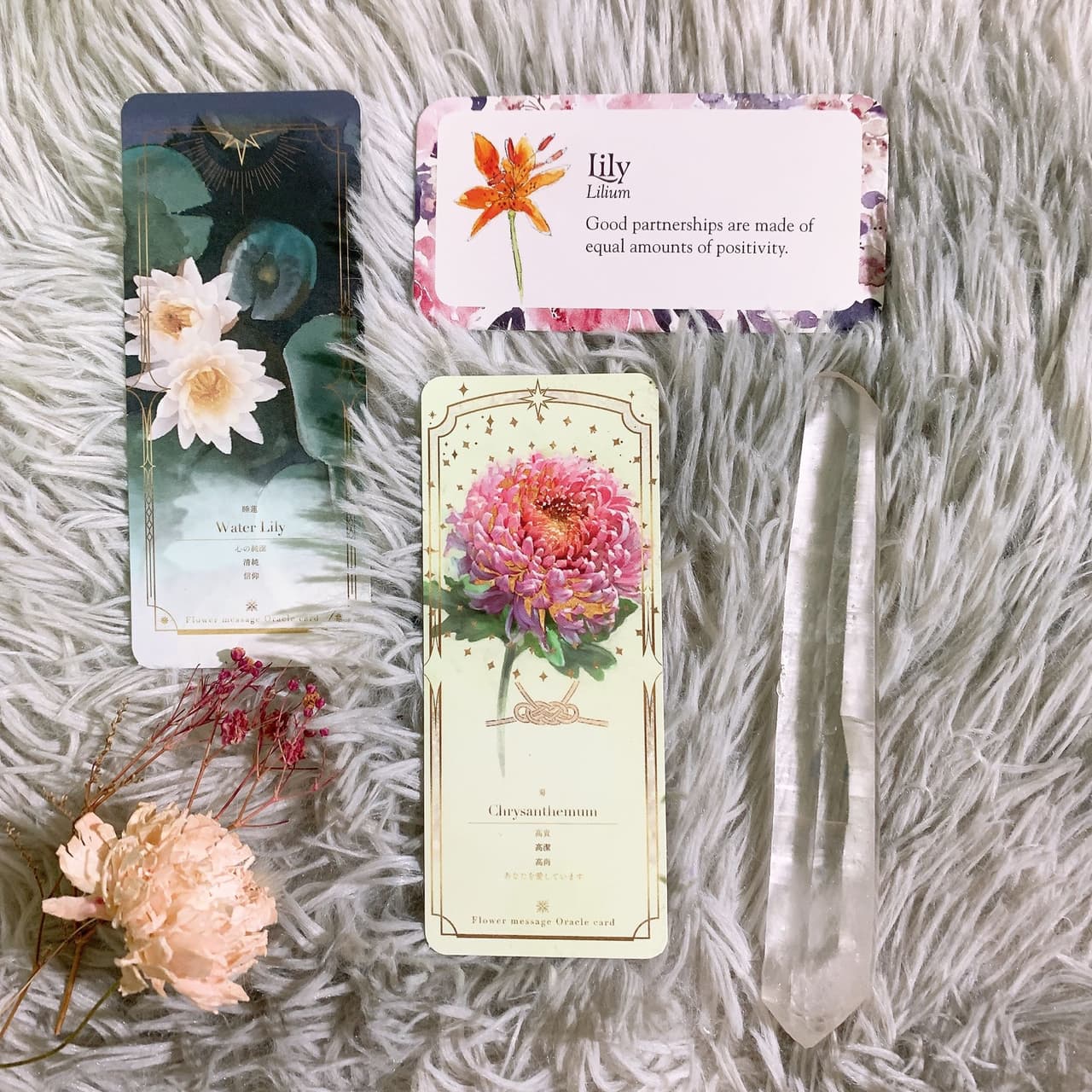 #每日療癒小語 12.04.21 - 瓦特 • 梅勒 (@watts_mailer) | Dcard