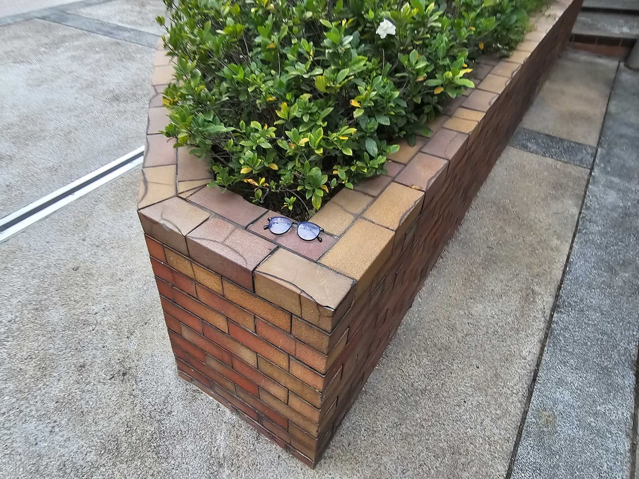 poly 文康 出面有副眼鏡放在花槽邊 - 香港理工大學板 | Dcard