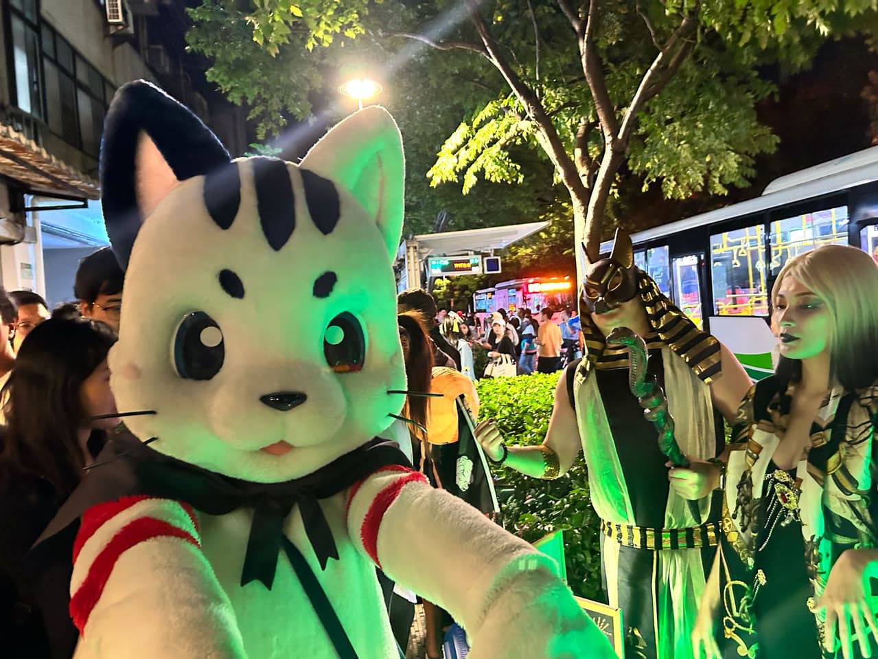 搞什麼鬼！🙀 - 貓月 (@nyanrou_neko) | Dcard