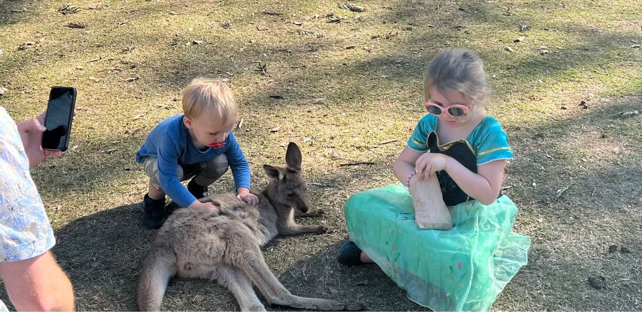 #國外 Brisbane 說走就走的 Lone Pine Koala Sanctuary 之旅 - 旅遊板 | Dcard